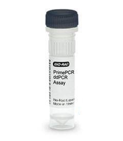 Набор EGFR CNV PrimePCR ddPCR, 200 реакций, Bio-Rad - купить Набор EGFR ...