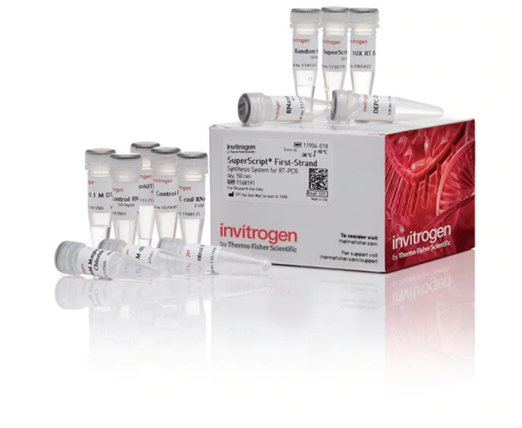 Набор SuperScript First-Strand Synthesis System for RT-PCR, Thermo FS ...